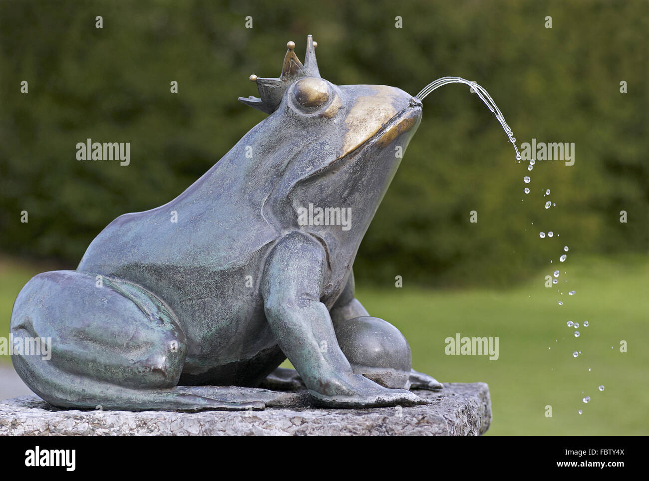 Frog king hi-res stock photography and images - Alamy