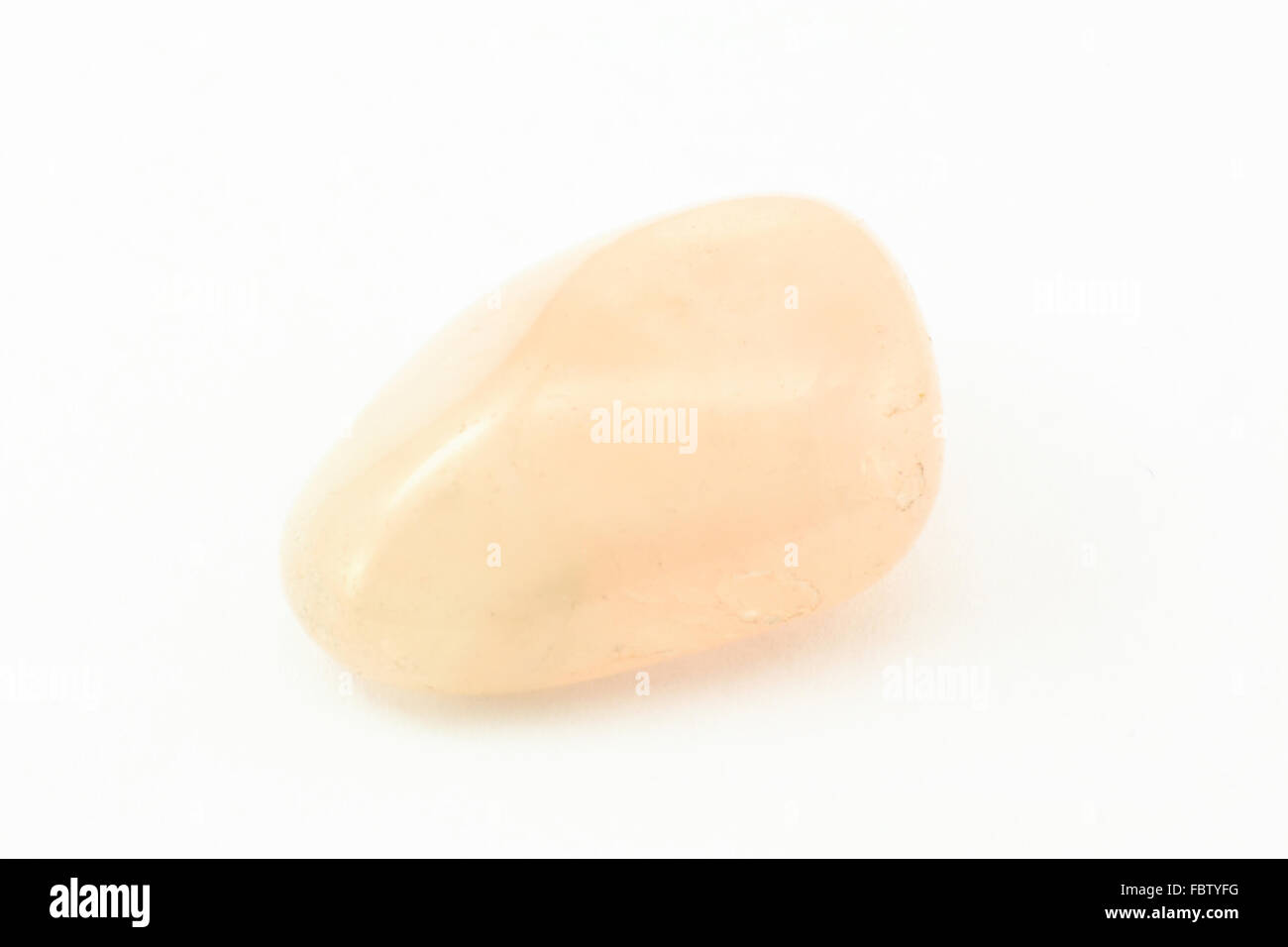 Rose birth hi-res stock photography and images - Alamy