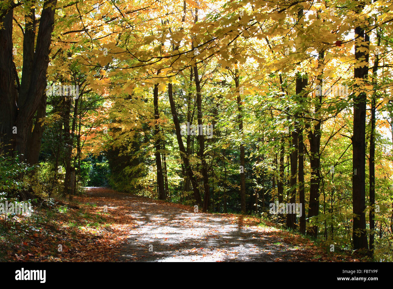Fall country road Stock Photo - Alamy