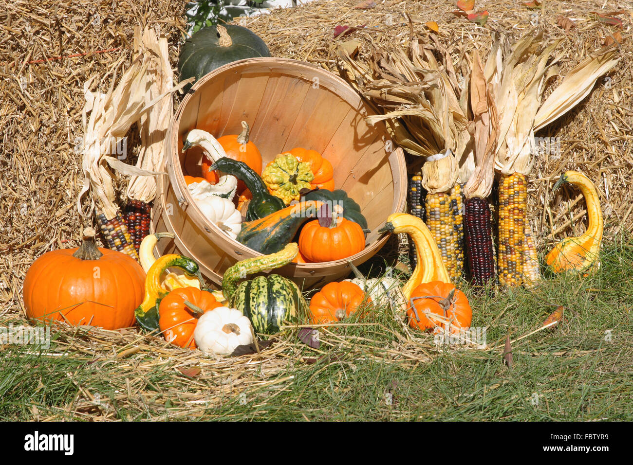 Thanksgiving Day spirit Stock Photo - Alamy