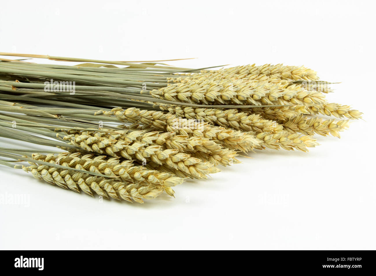 Ears of Wheat Stock Photo - Alamy