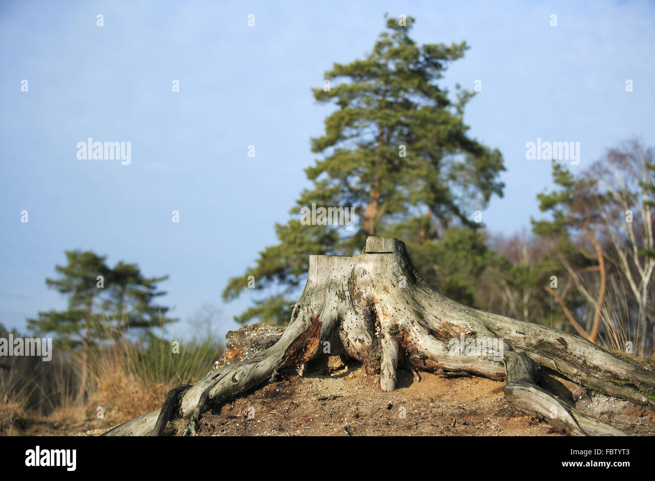 Symbolical hi-res stock photography and images - Alamy