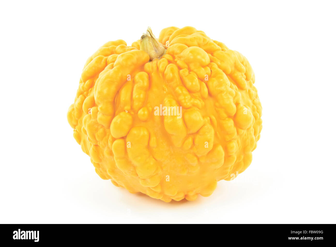 Warty squash hi-res stock photography and images - Alamy