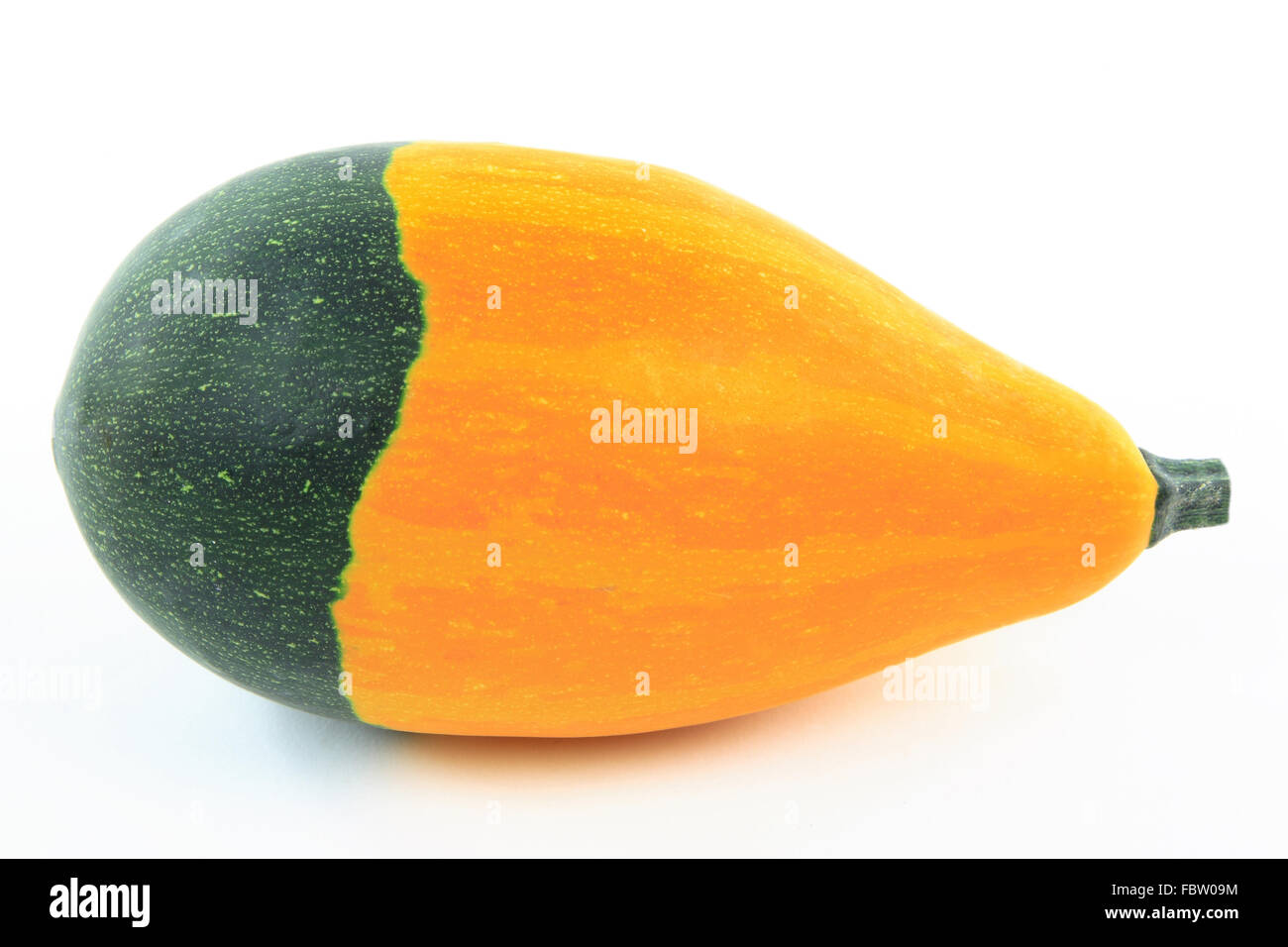 Two coloured smooth skin squash Stock Photo - Alamy