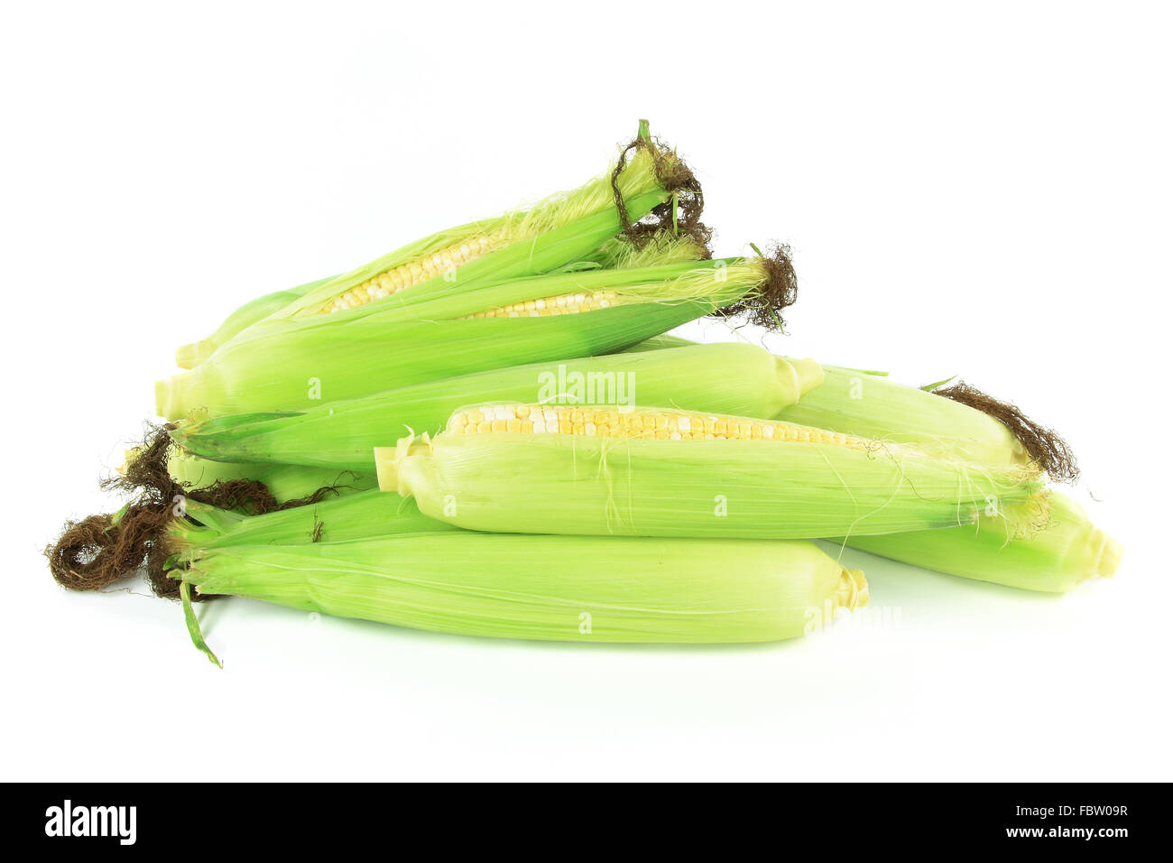 Pile of Ears of corn Stock Photo - Alamy