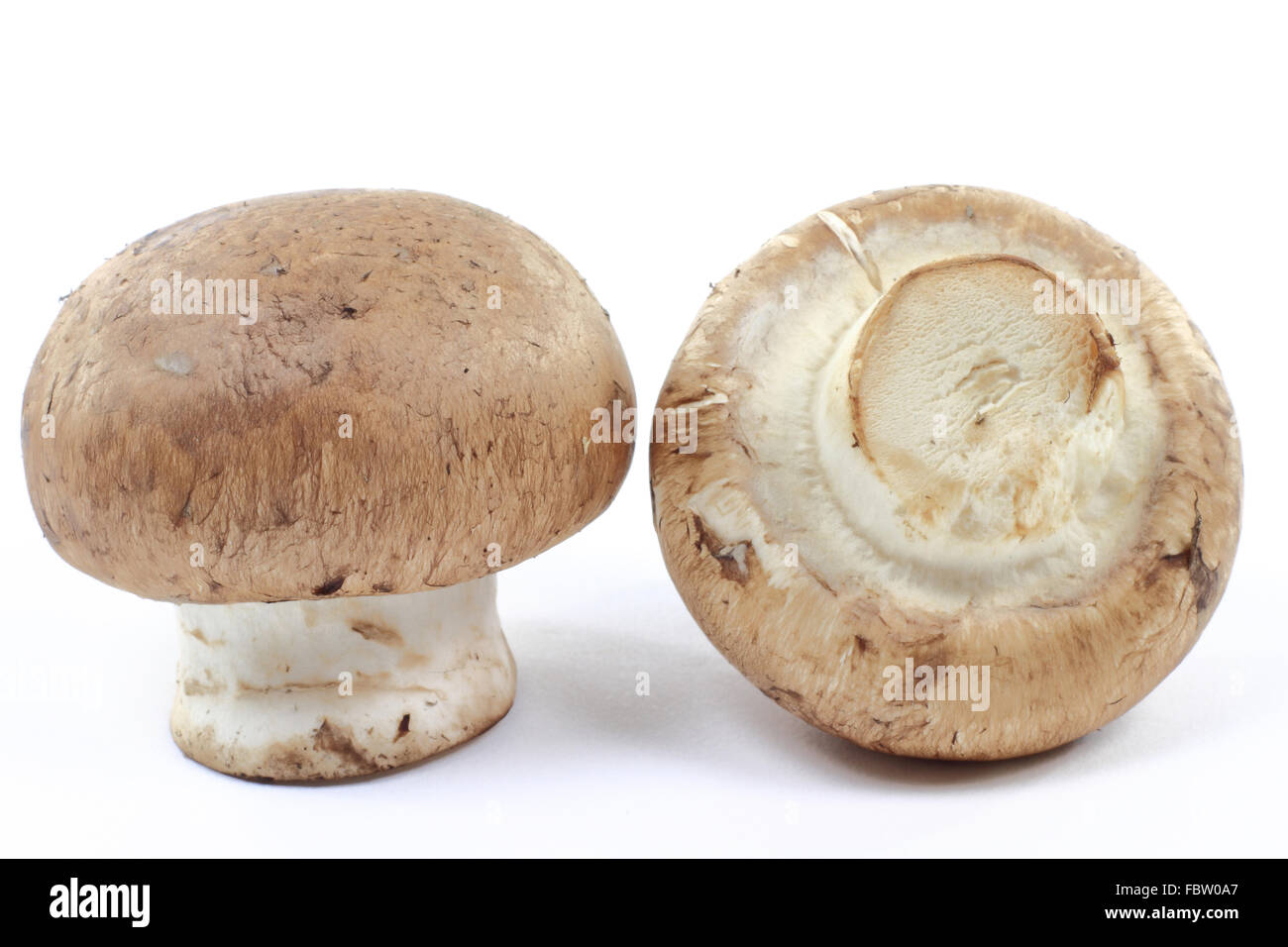 Macro picture of Organic Cremini mushrooms Stock Photo - Alamy