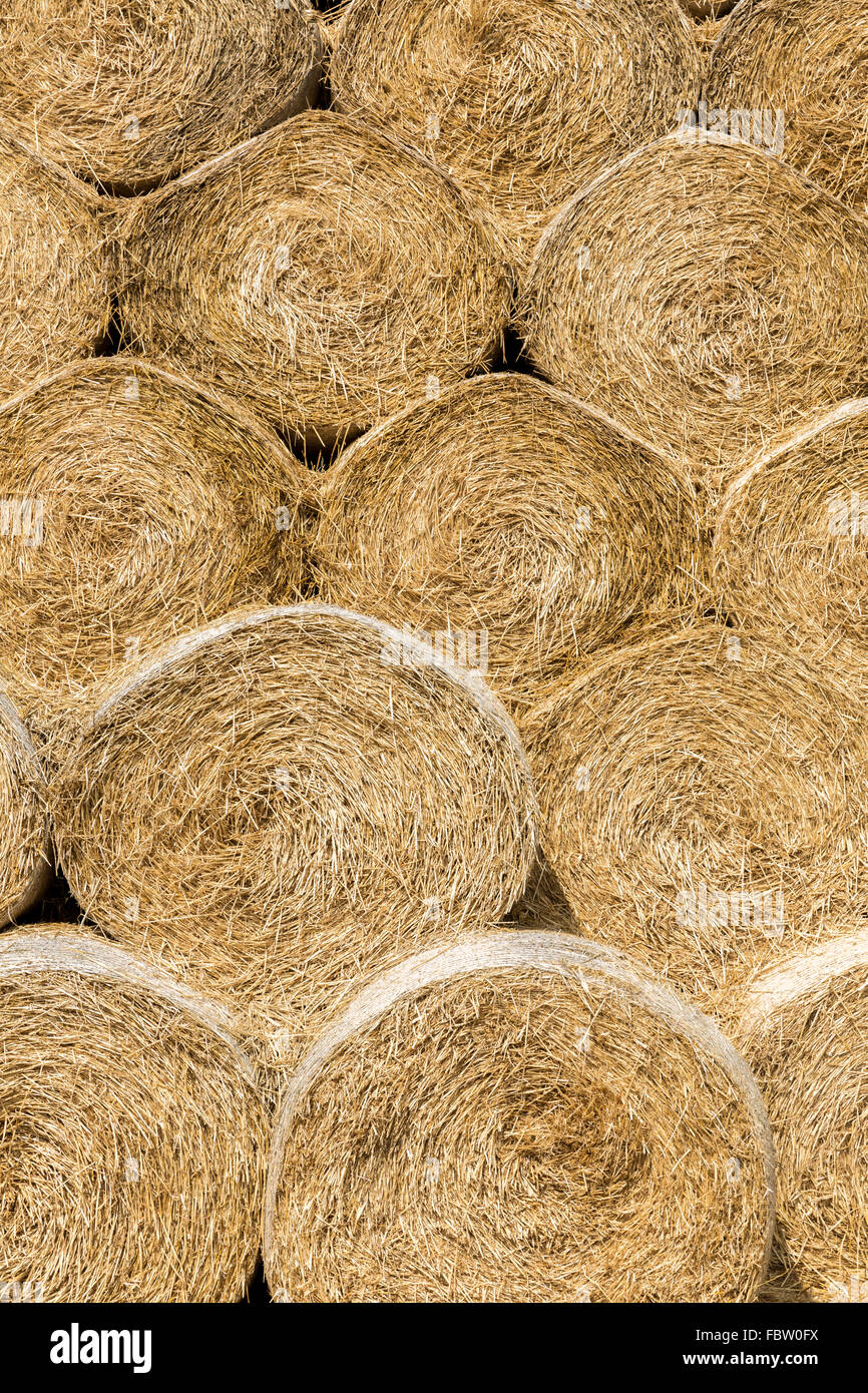 Close up of stacked hay bales on farm in Worcestershire Stock Photo - Alamy