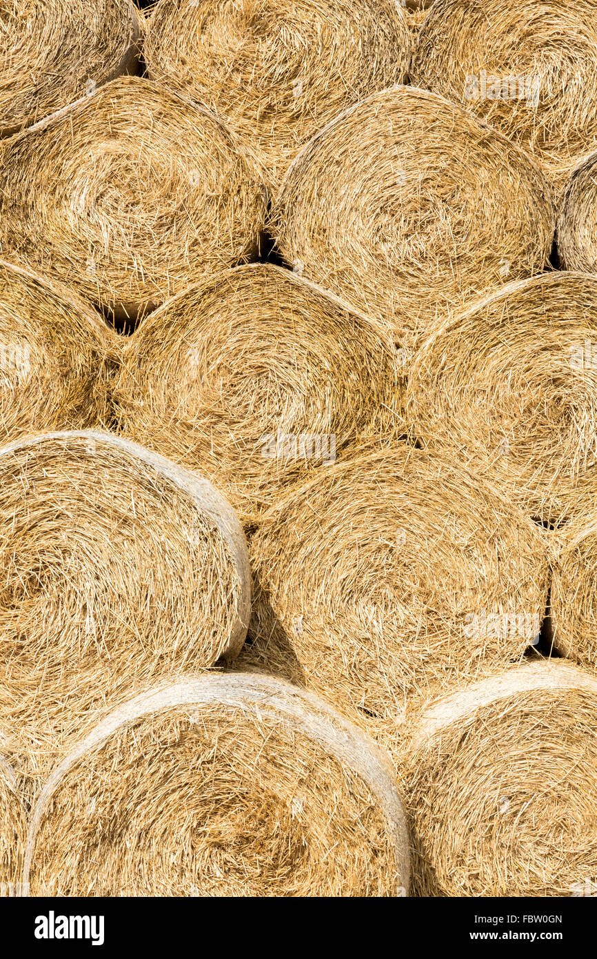 Hay bale close hi-res stock photography and images - Alamy