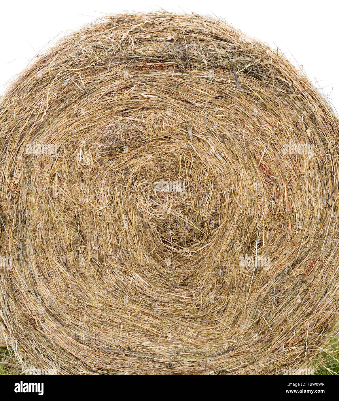 Bale of hay cutout Stock Photo - Alamy