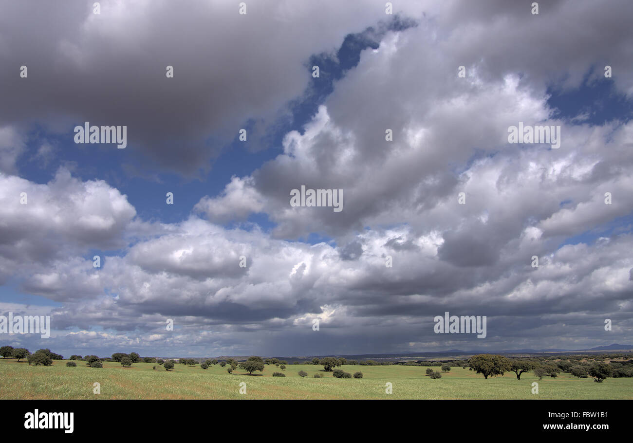 Landscape extremadura hi-res stock photography and images - Alamy