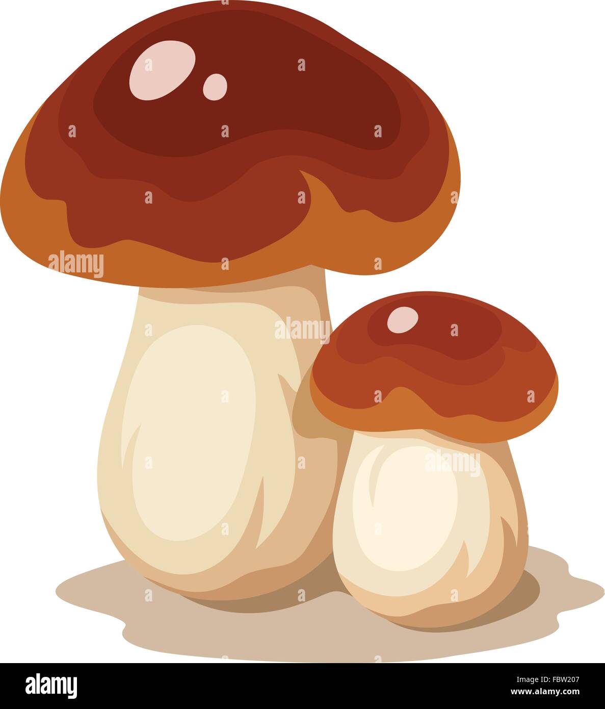 Cep mushrooms Stock Vector Images - Alamy