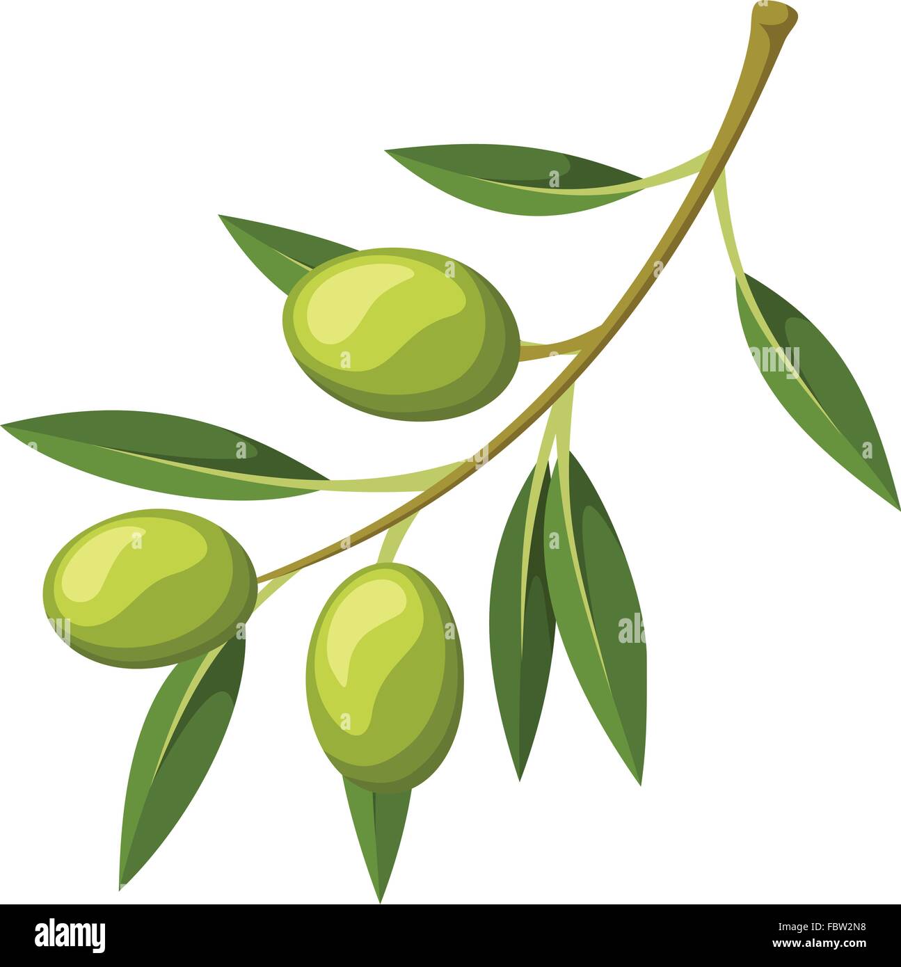 Olive branch. Vector illustration Stock Vector Image & Art - Alamy