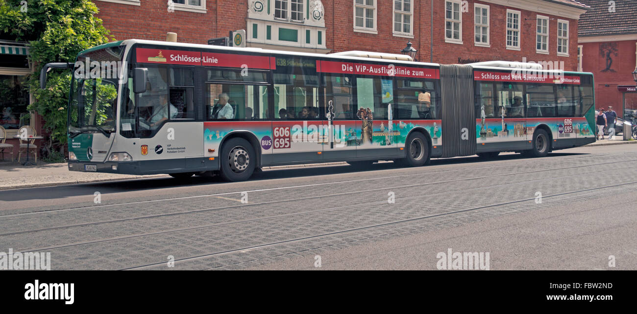 Bendy Bus, Potsdam, Brandenburg, Germany Stock Photo - Alamy