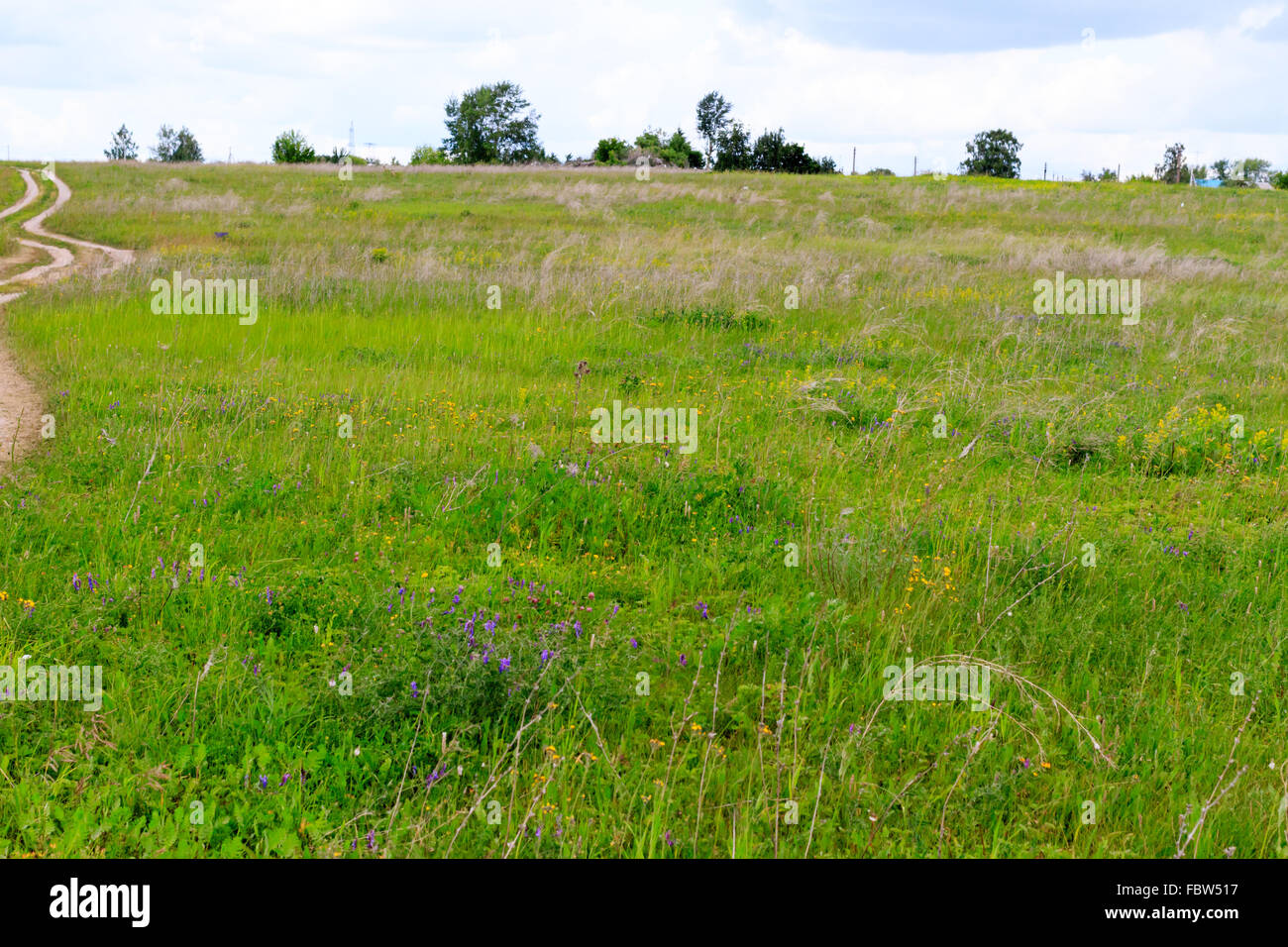Skylark field nest hi-res stock photography and images - Alamy