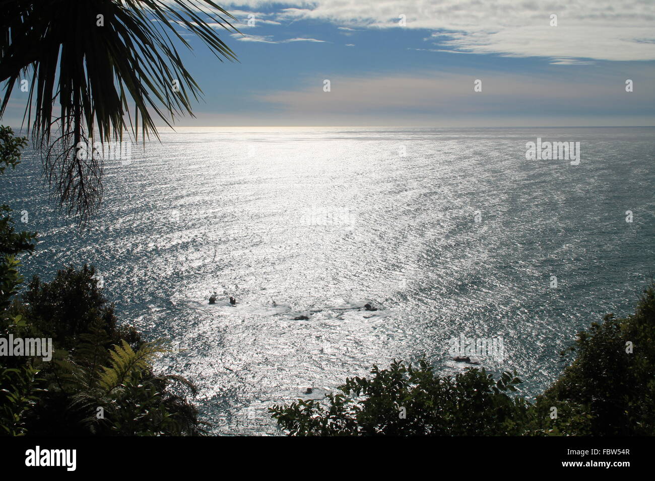 Knights Point New Zealand High Resolution Stock Photography and Images ...