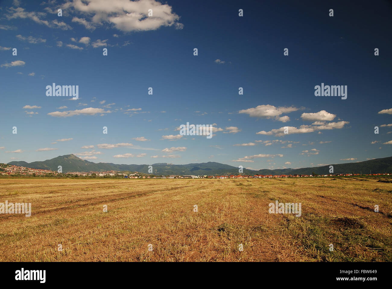 sunny day and dramatic sky on the field (NIKON D80 Stock Photo - Alamy