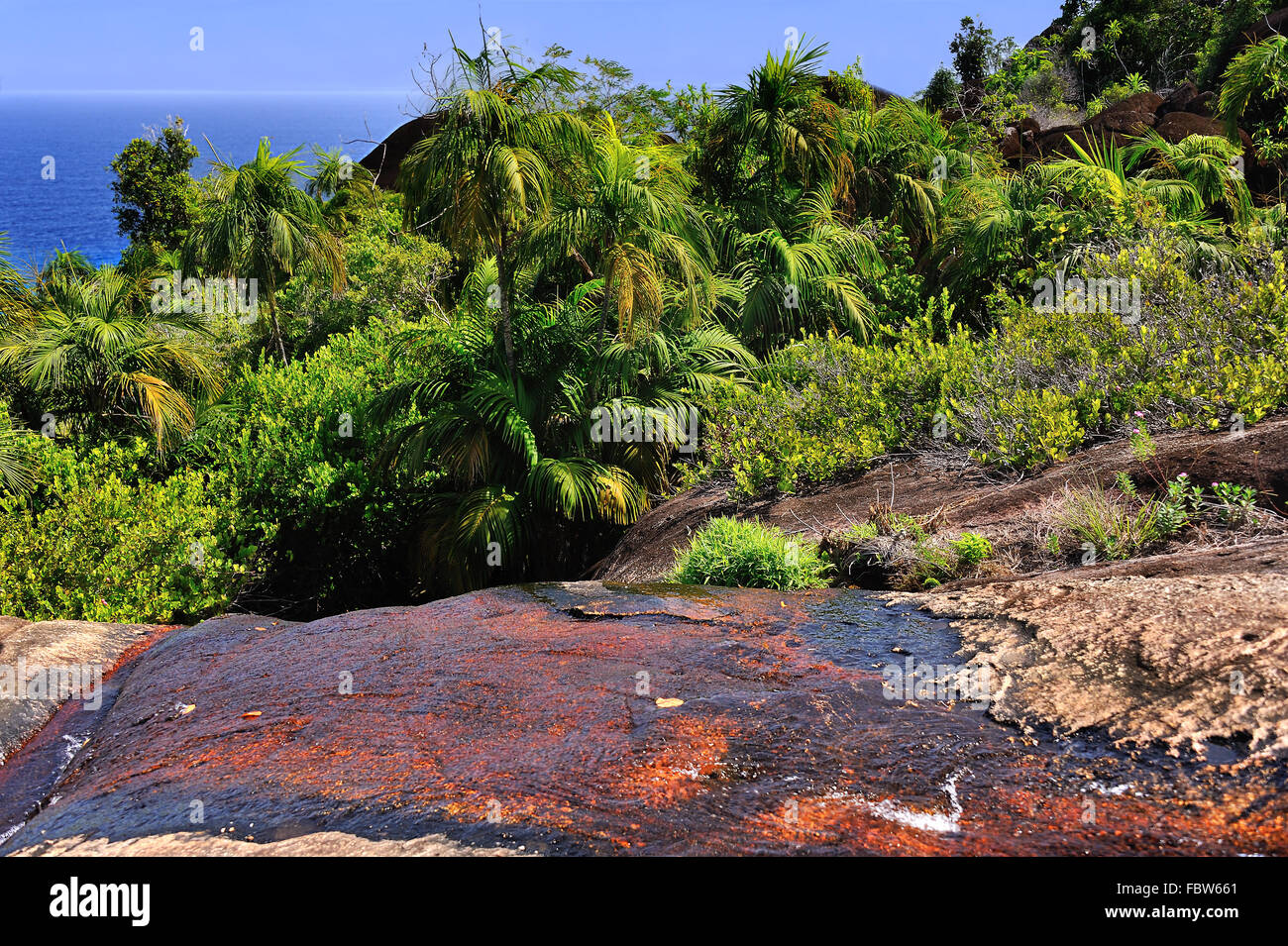 Mahe seychelles waterfall hi-res stock photography and images - Alamy