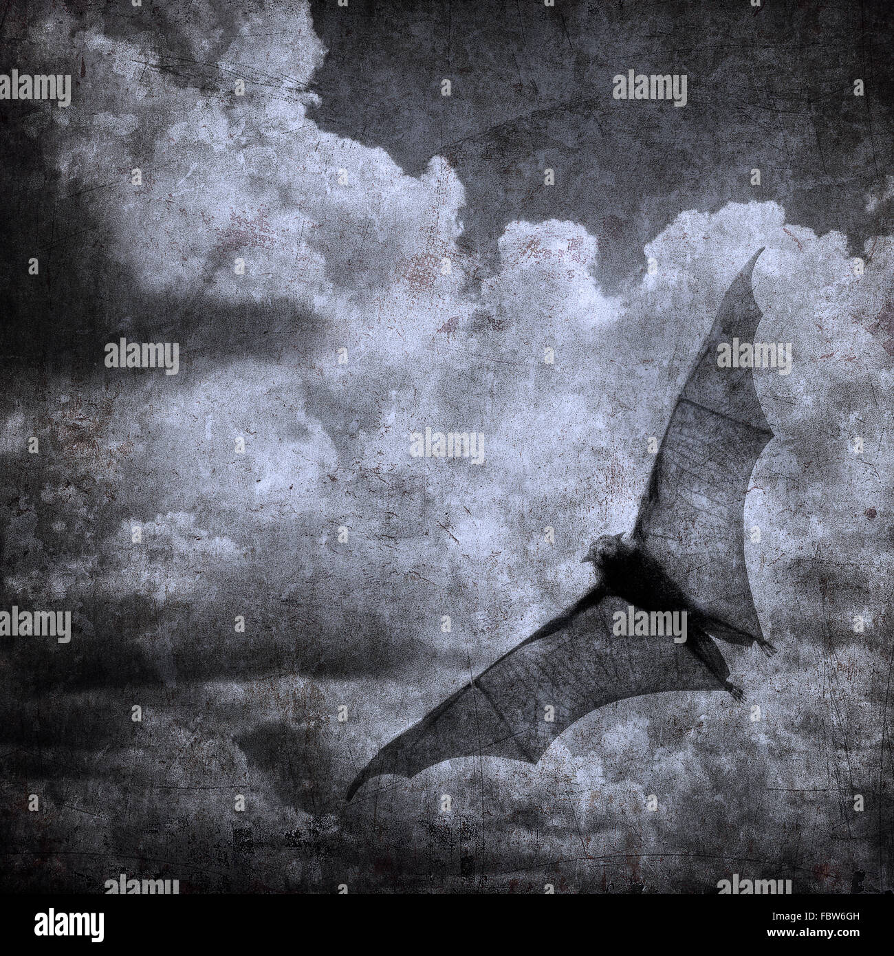 Bat texture hi-res stock photography and images - Alamy
