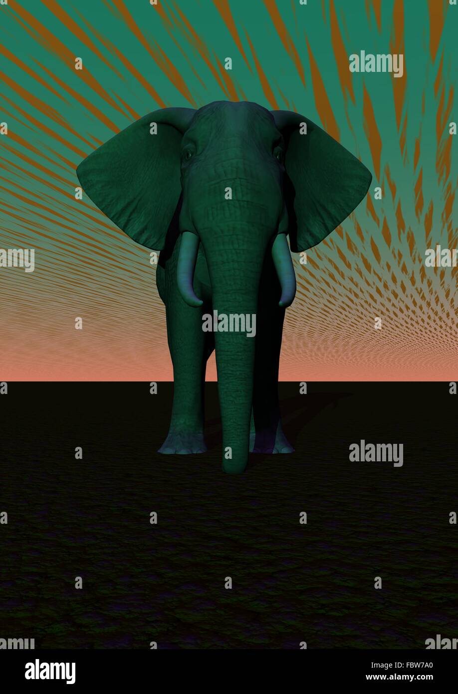 Elephant hair hi-res stock photography and images - Alamy