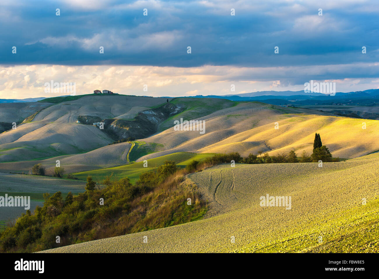 Fantastic sunny fall field in Italy, tuscany landscape Stock Photo - Alamy