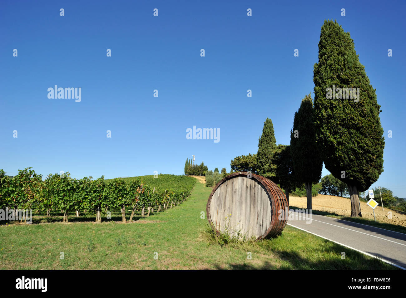 Pisa tuscany countryside hi-res stock photography and images - Alamy