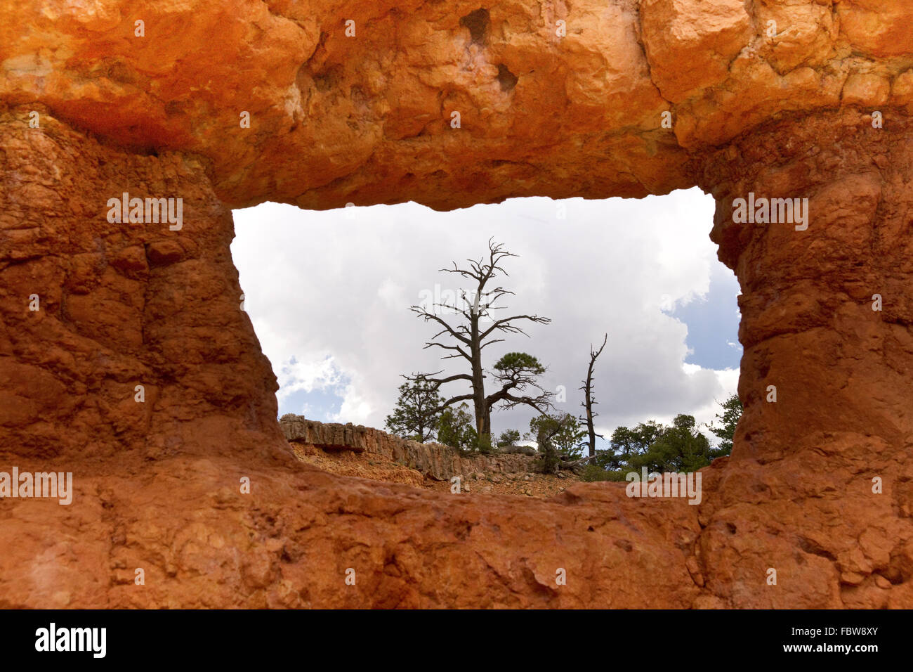 Sandstone window hi-res stock photography and images - Alamy