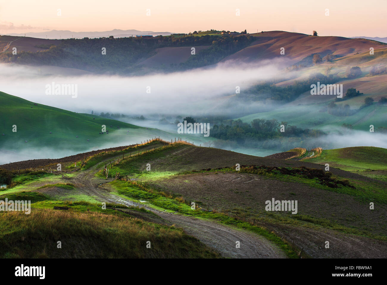Trees and orchards on the Italian fields. Tuscany autumn day Stock ...