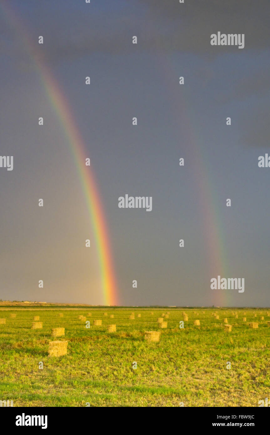 Rainbows Above Hayfield Stock Photo - Alamy