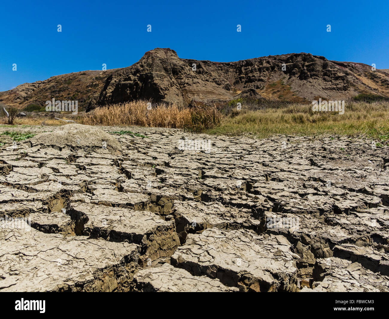 A close-up view of dried out mud flats with large cracks and peeling ...