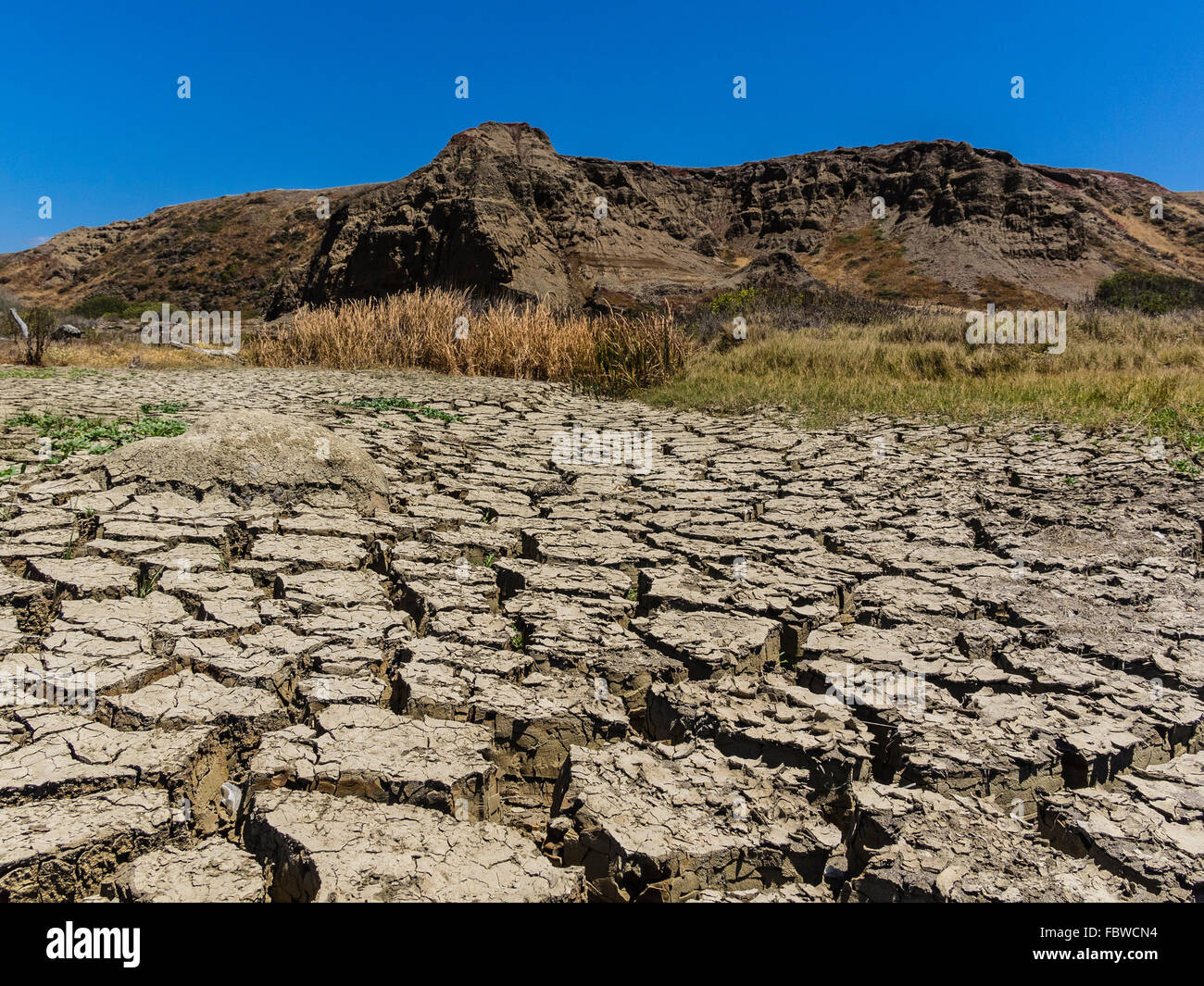 A close-up view of dried out mud flats with large cracks and peeling ...