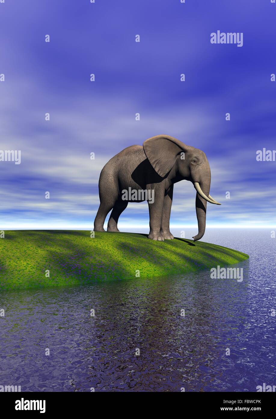 Elephant front view isolated hi-res stock photography and images - Alamy