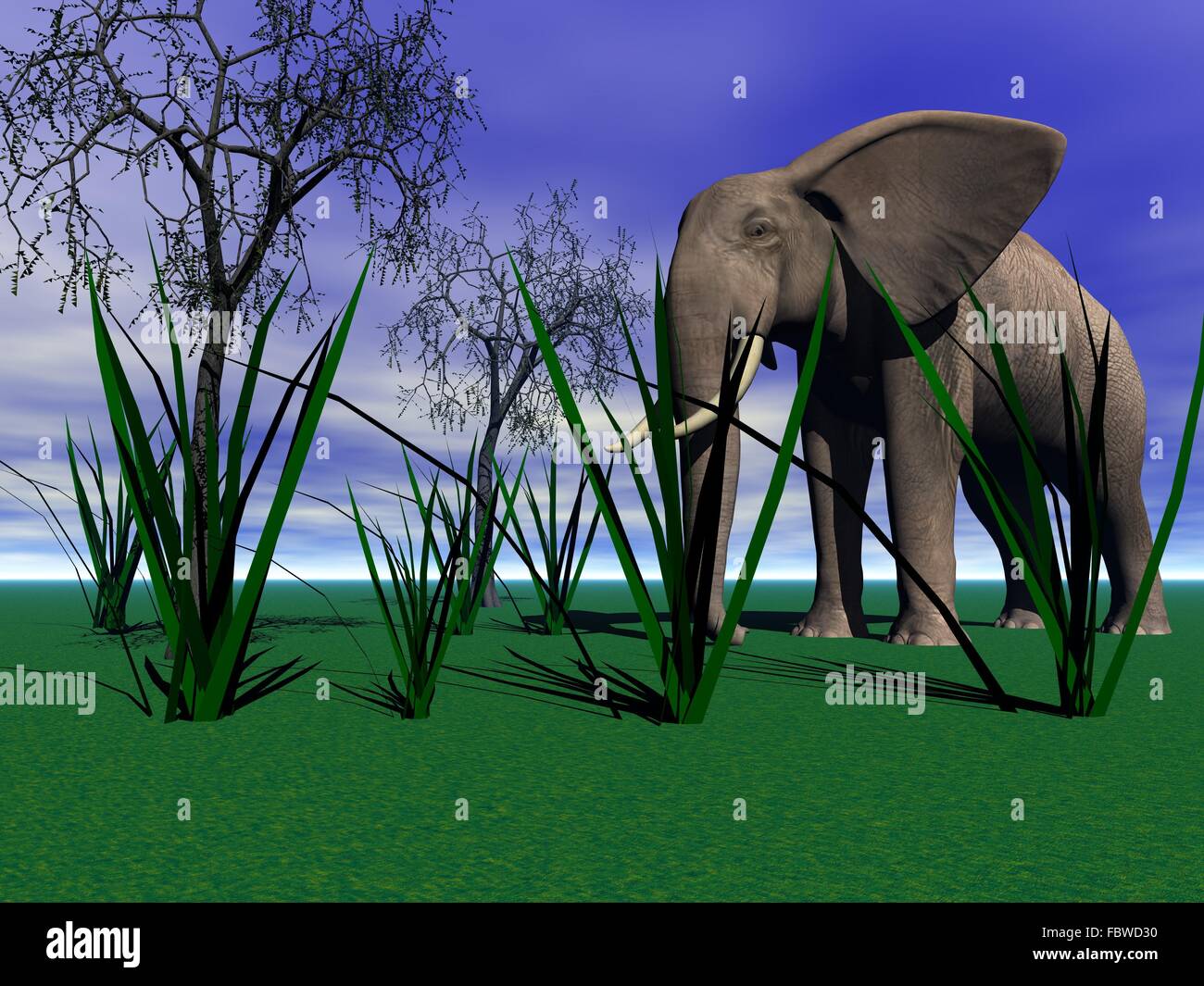 Follow the elephant hi-res stock photography and images - Alamy