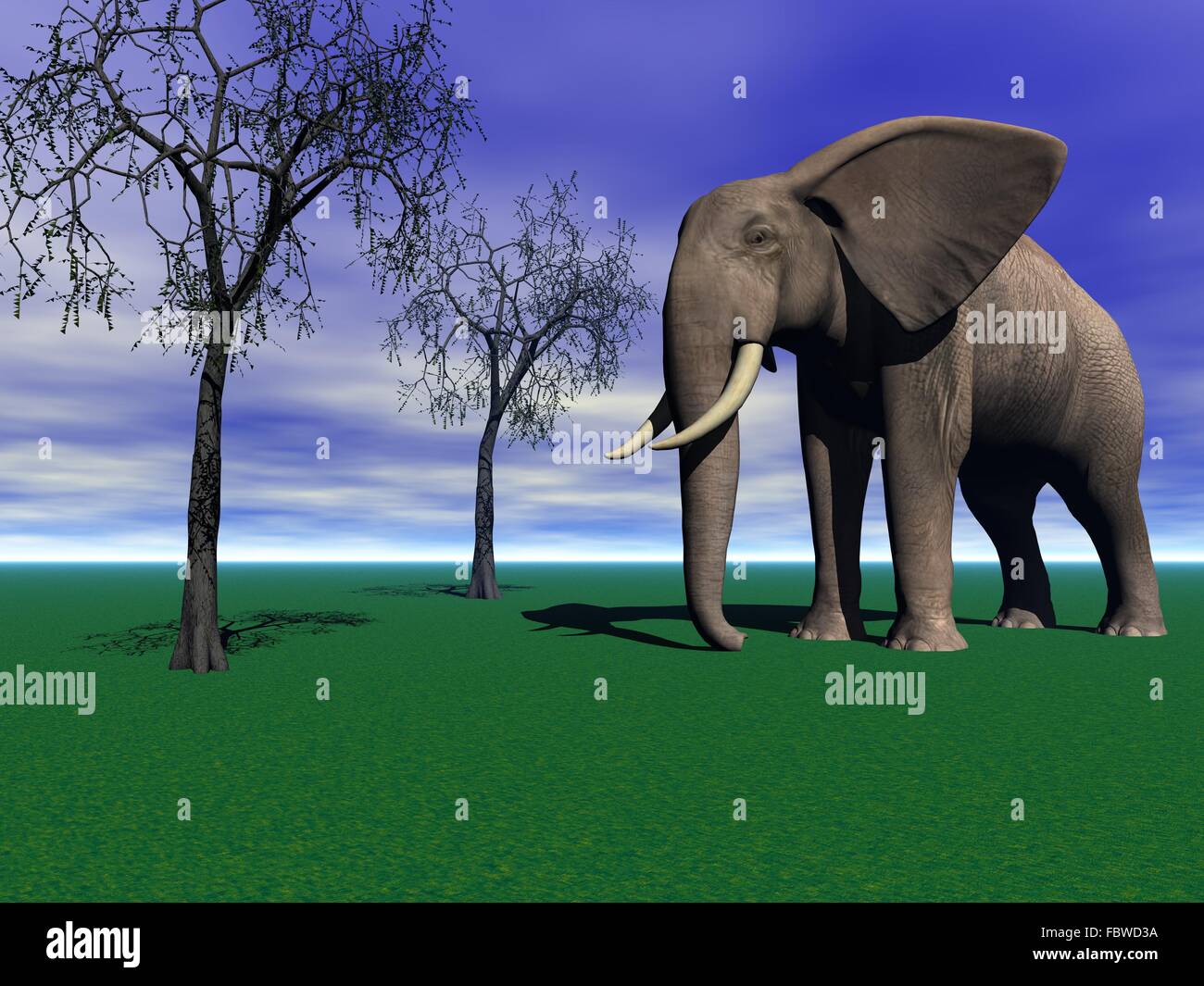 Vibrant elephant hi-res stock photography and images - Alamy