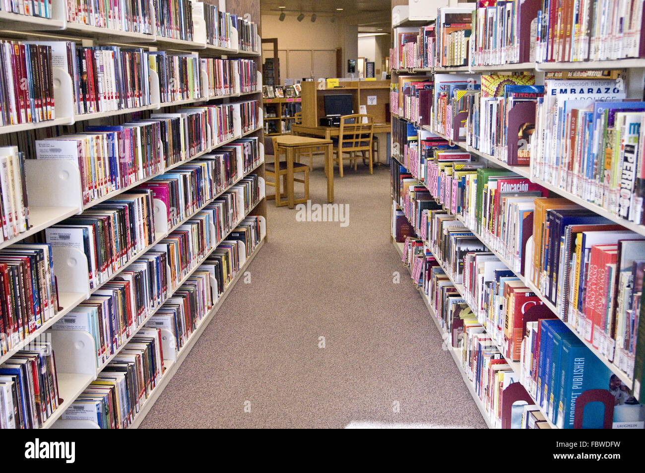 Library Books on Library Shelves Stock Photo - Alamy