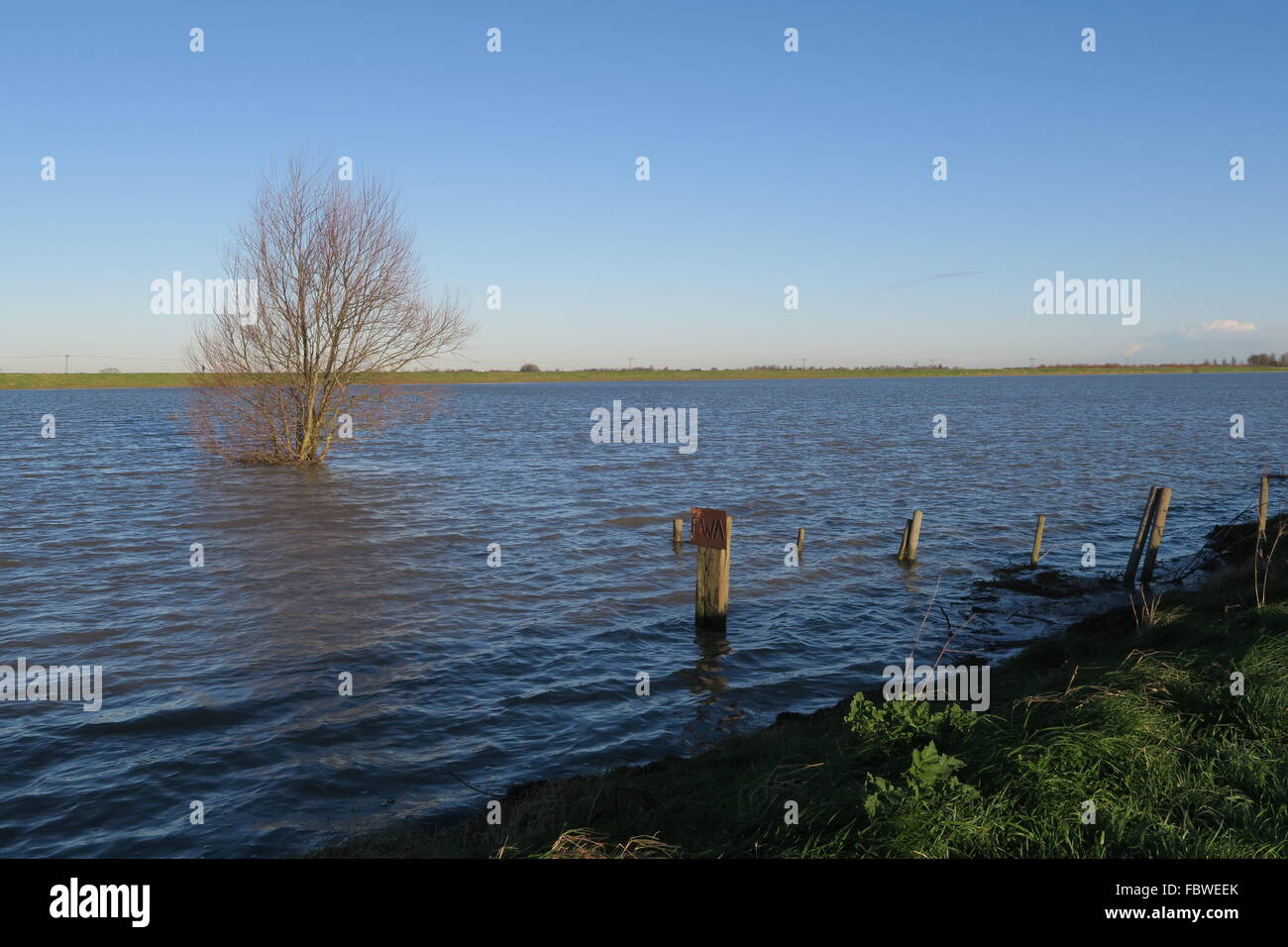 The Ouse Washes flooded at Sutton Gault Stock Photo - Alamy