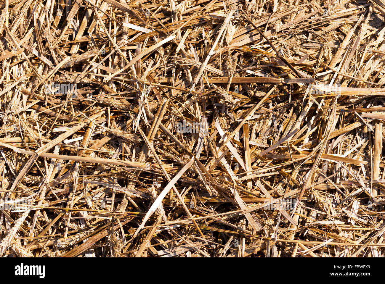 Straw texture background Stock Photo - Alamy