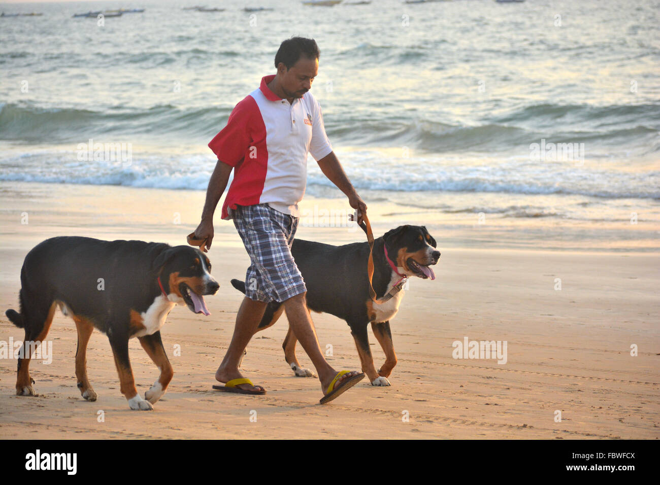 Evening walk hi-res stock photography and images - Alamy