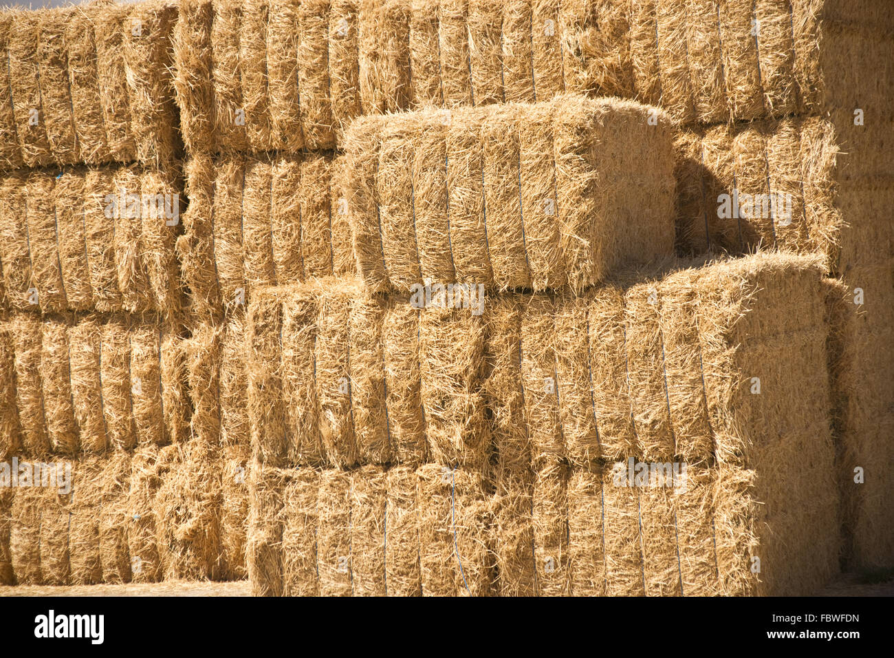 Stacked Hay Bales Stock Photo - Alamy