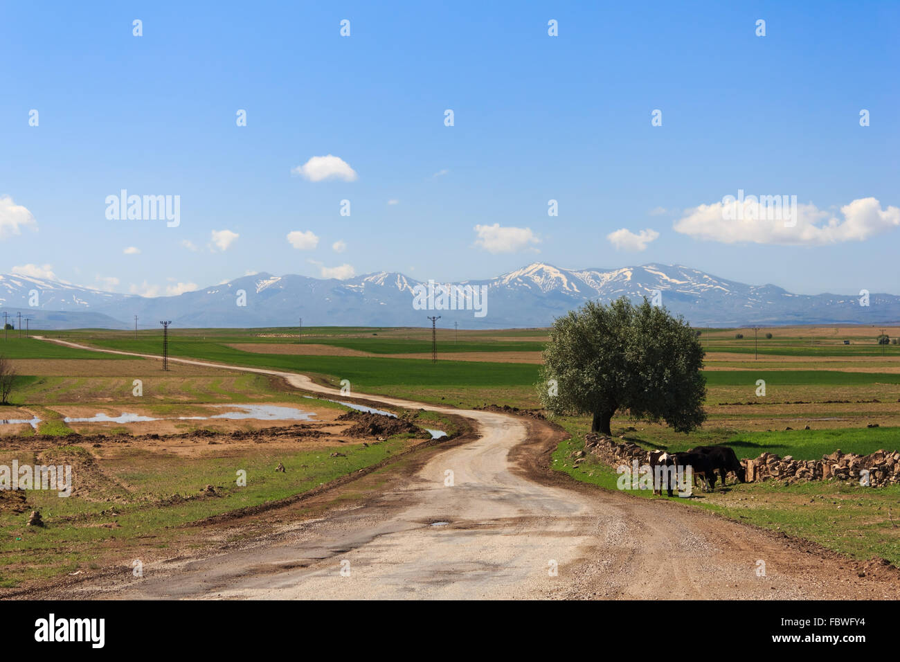 Rural Turkey High Resolution Stock Photography and Images - Alamy