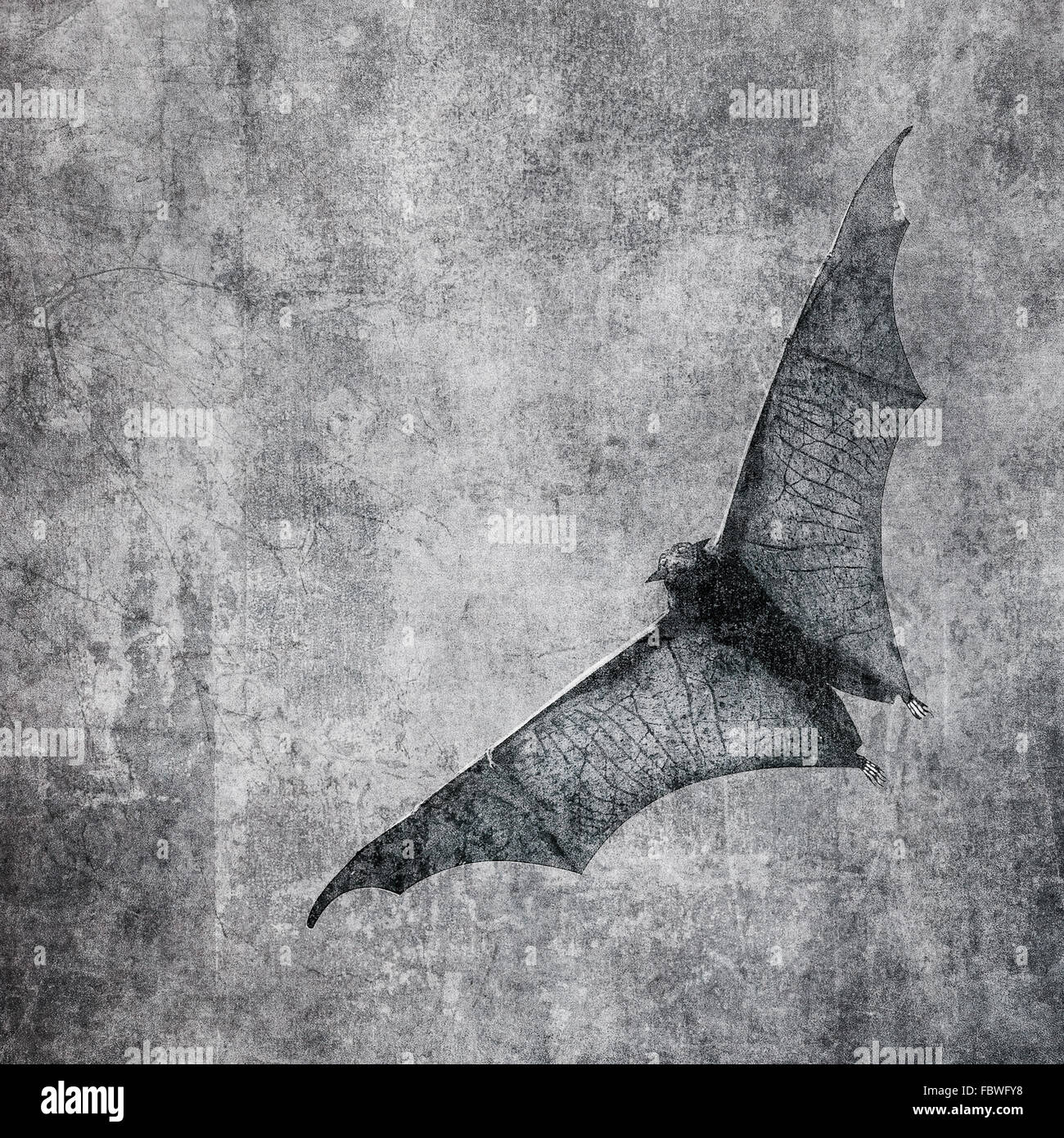 bats in the dark cloudy sky, perfect halloween background Stock Photo ...