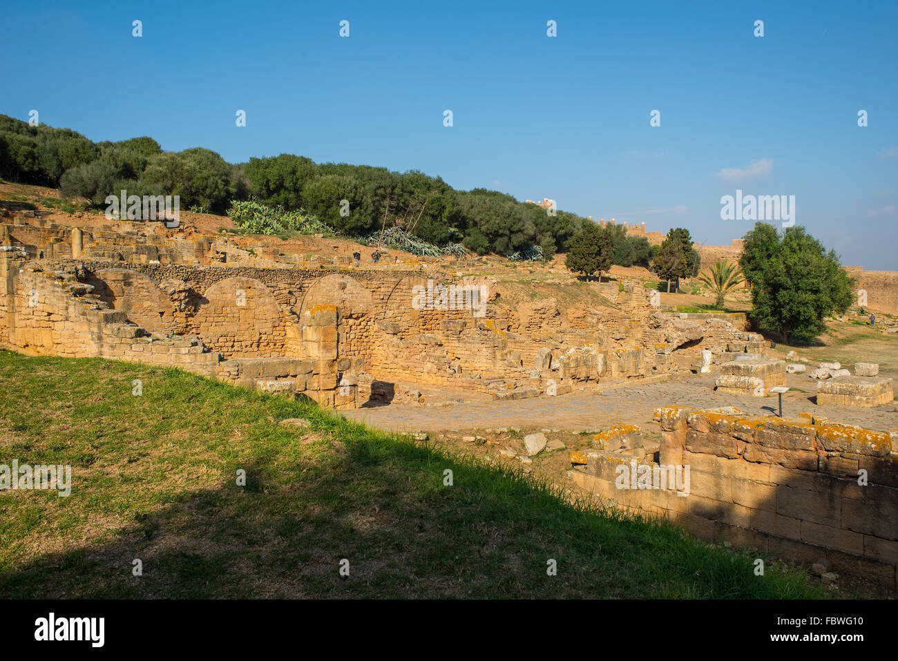 Archaeological site of the Roman city known as Sala Colonia in Chellah ...