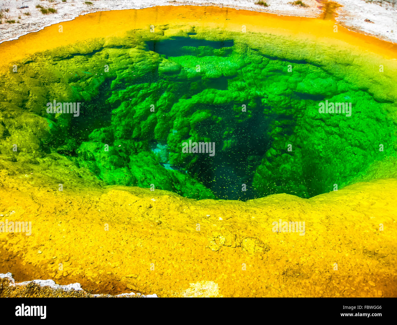 Yellowstone Morning Glory Pool Stock Photo - Alamy