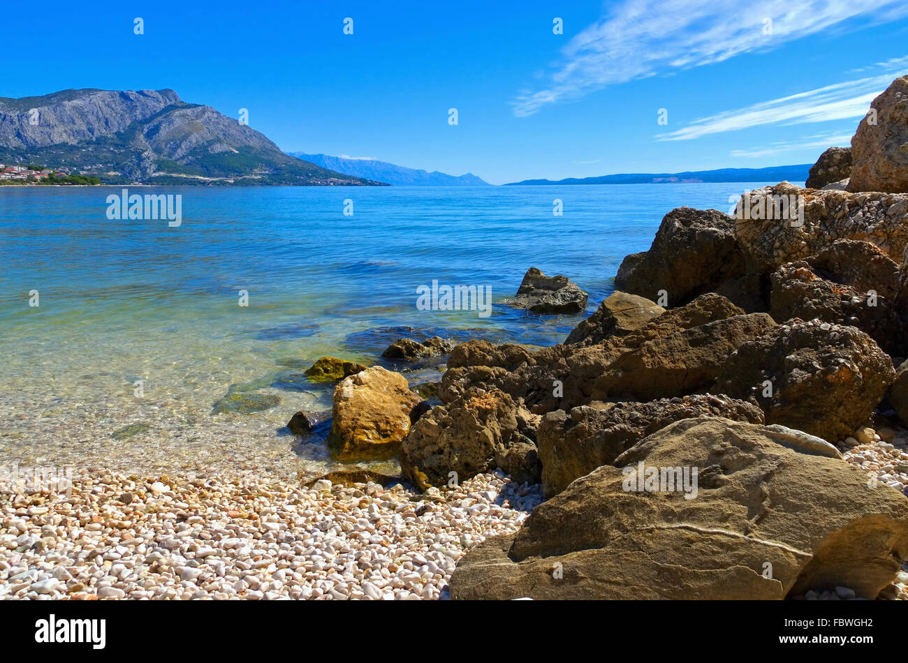 Coast rat hi-res stock photography and images - Alamy