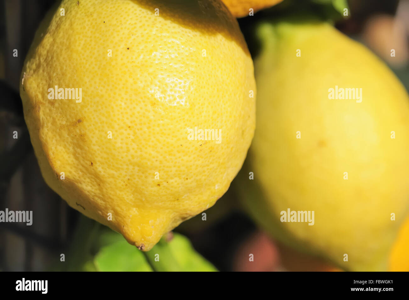 Zitronensaeure hi-res stock photography and images - Alamy