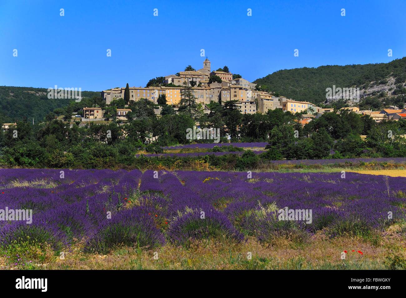 Banon hi-res stock photography and images - Alamy