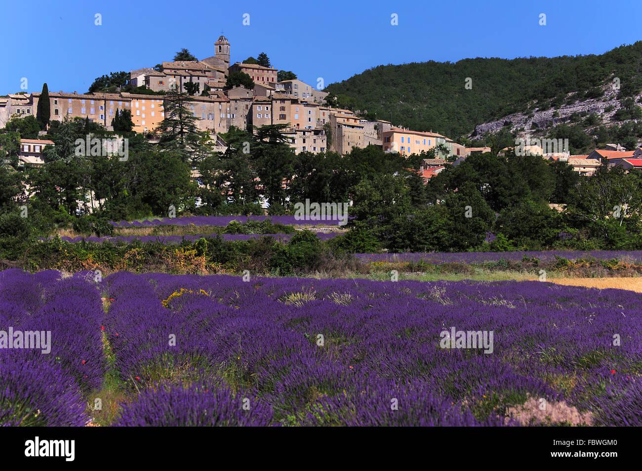 Banon hi-res stock photography and images - Alamy