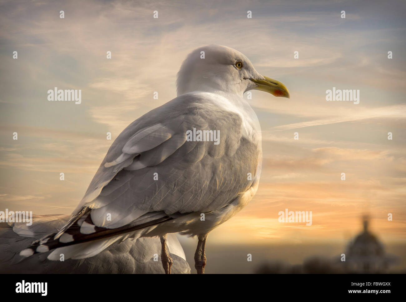 Broad stairs hi-res stock photography and images - Alamy