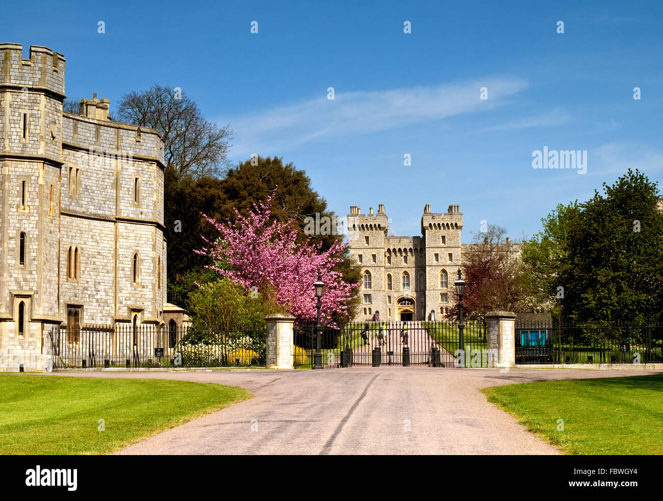 Windsor - The Long Walk in Spring Stock Photo - Alamy