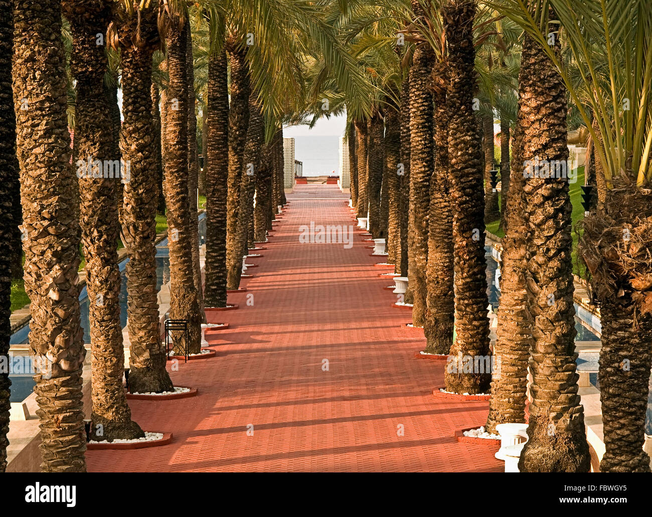 Tropical walkway hi-res stock photography and images - Alamy