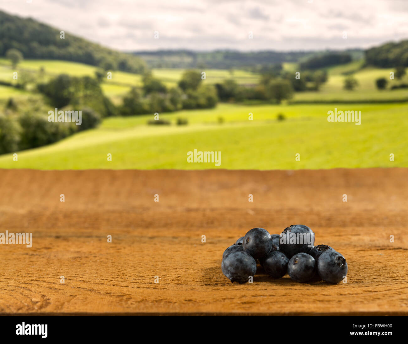 Blueberries on green table hi-res stock photography and images - Alamy